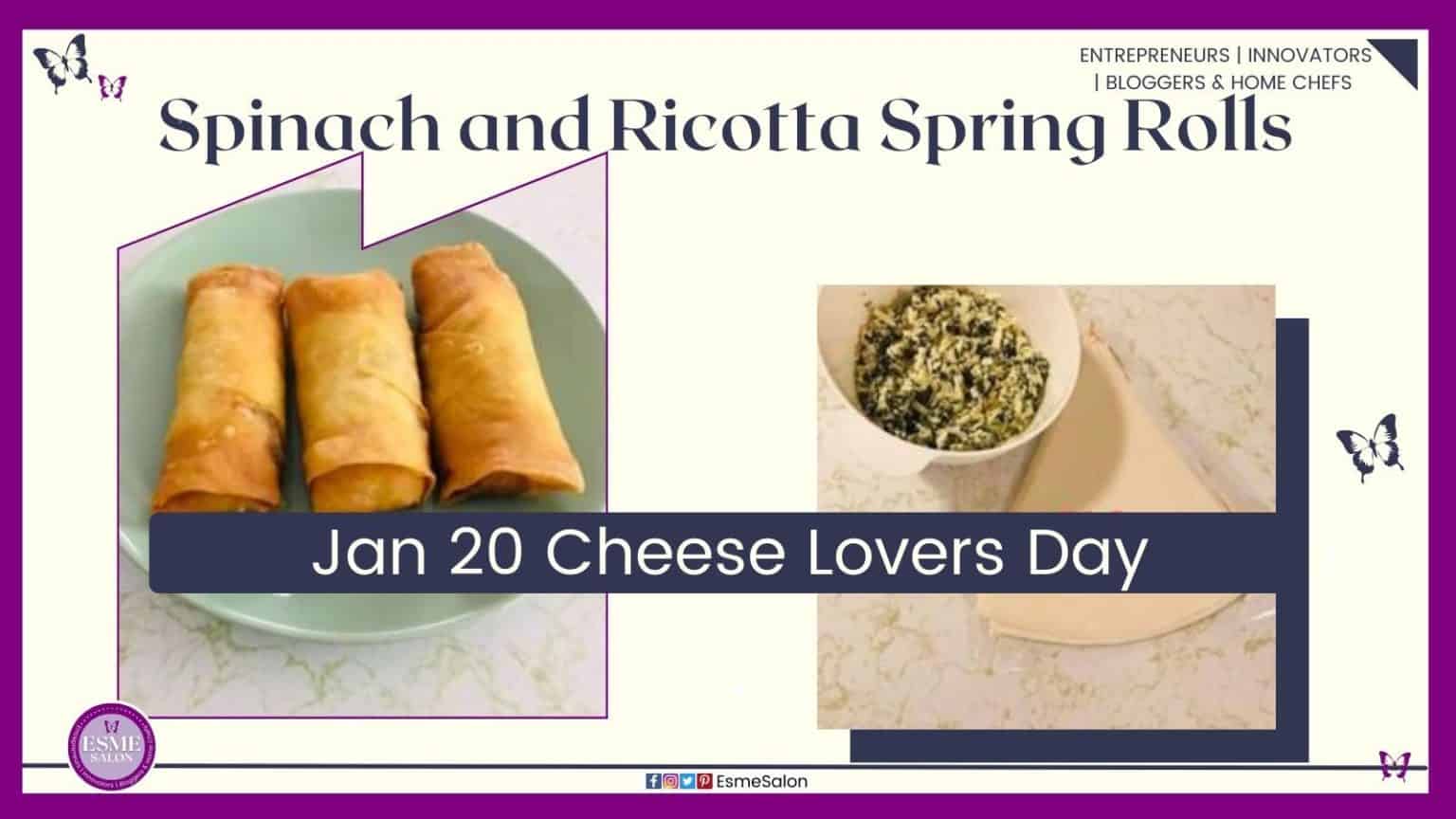 Spinach and Ricotta Spring Rolls